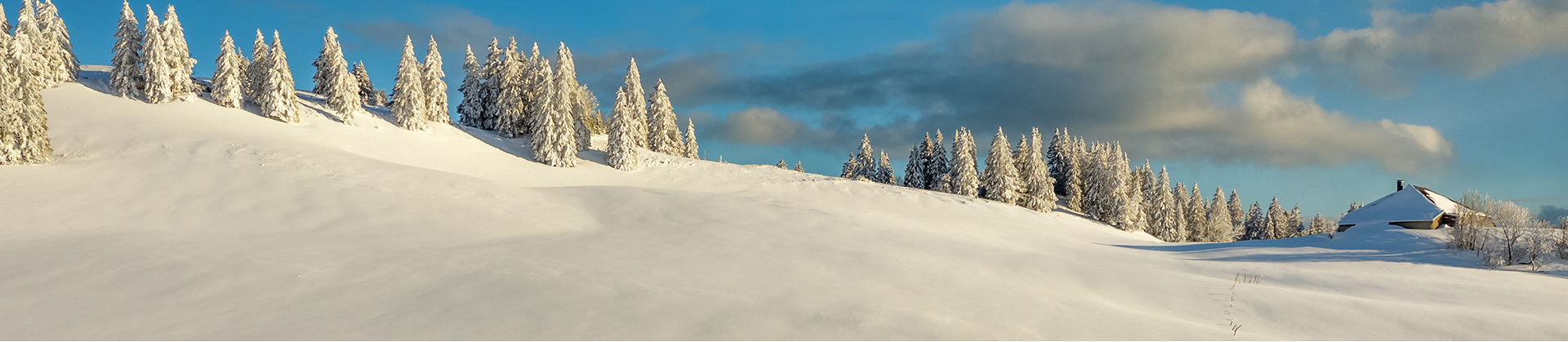 Plus de 80 ans d’un savoir-faire authentique – Jean-Louis Amiotte